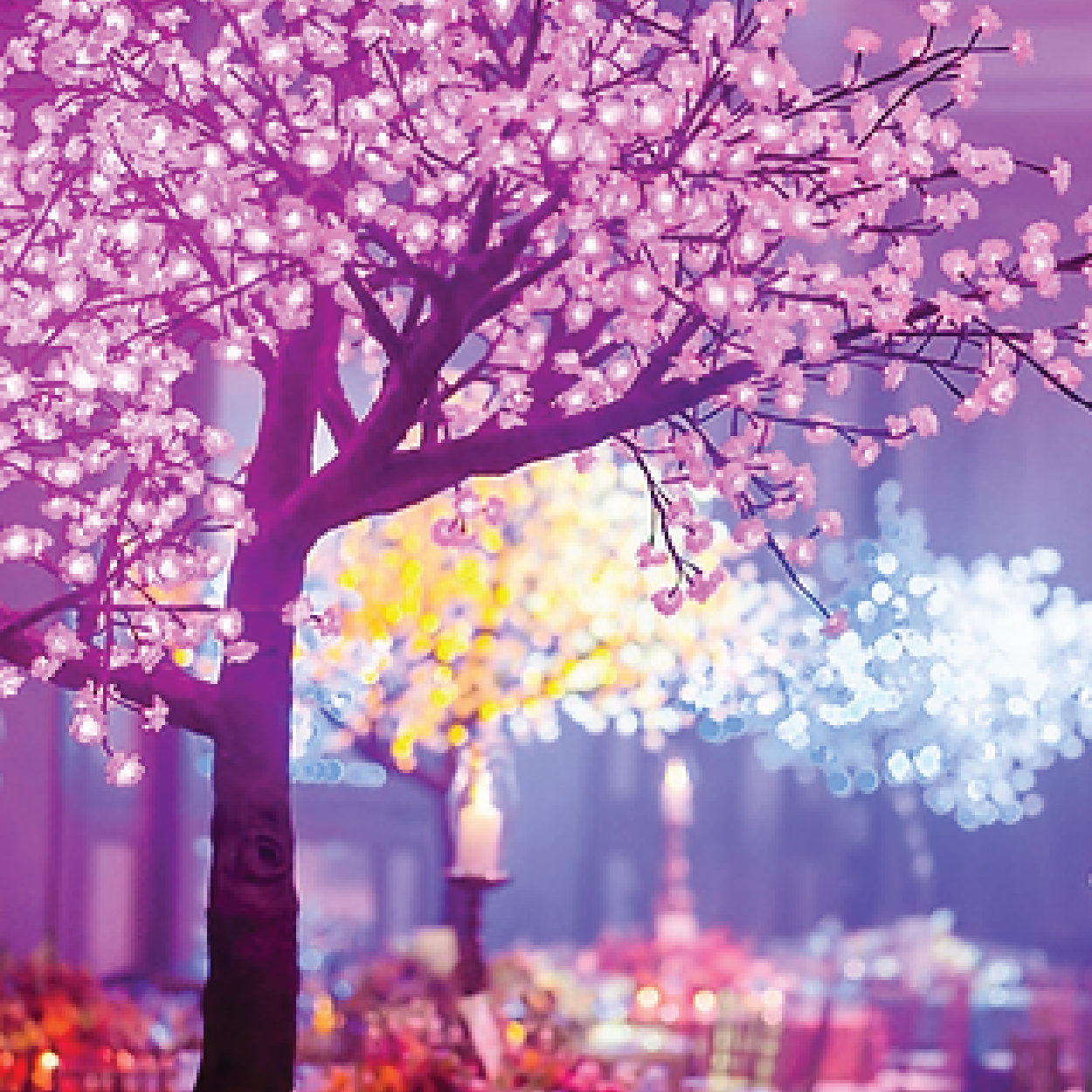 Illuminated Trees - Jack Wills